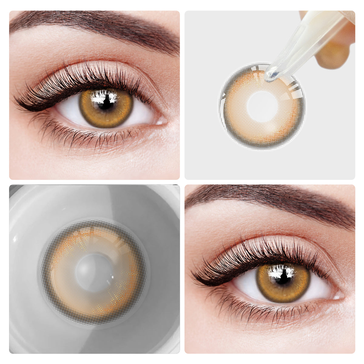 Gem Brown Colored Contact Lenses | Soft | Warmth – EYESFAV